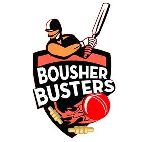 G11- Fantasy Cricket Prediction for Today's Match